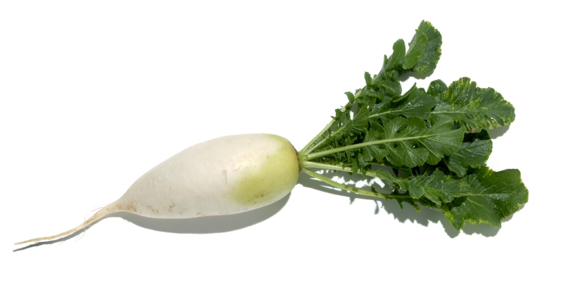 大根の一覧|みなとの野菜大辞典